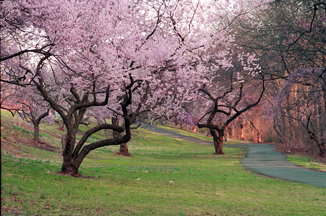 The Official Website of The Township of Belleville, NJ - News